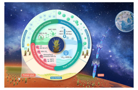 Scientists discover amazingly resilient plant that may help astronauts ...